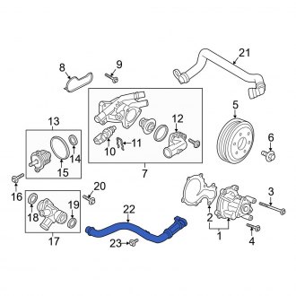 Ford EcoSport Radiator Hoses & Clamps | Lower, Upper — CARiD.com