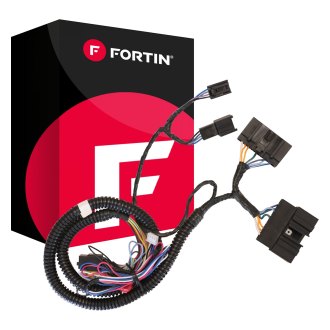 2019 Ford Fusion Alarm Installations | CARiD