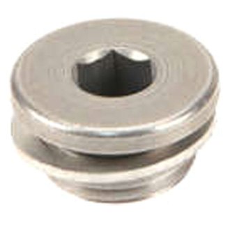 Genuine® 11317502048 - Cylinder Head Plug with Gasket