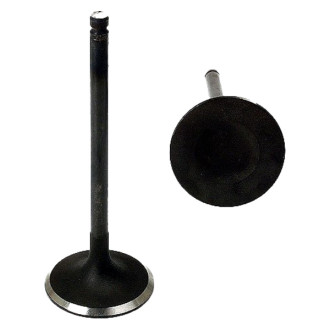 Toyota Tacoma Valves & Valvetrain Components — CARiD.com