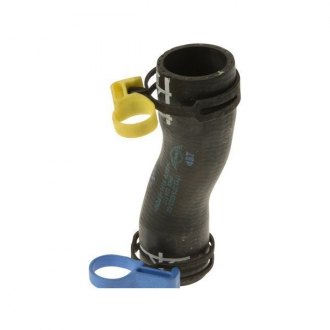 Mini Cooper Radiator Hoses & Clamps | Lower, Upper — CARiD.com