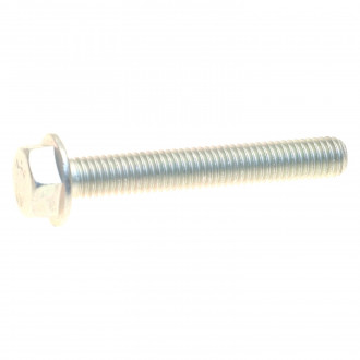 Catalytic Converter Bolts | CARiD