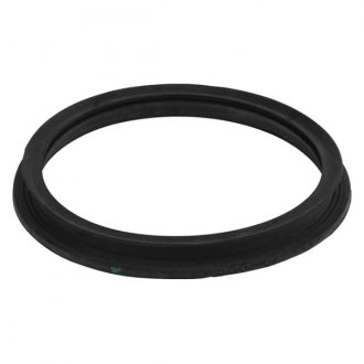 Fuel Pump Seals | CARiD