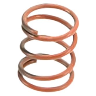 Parking Brake Shoe Hold Down Springs | CARiD