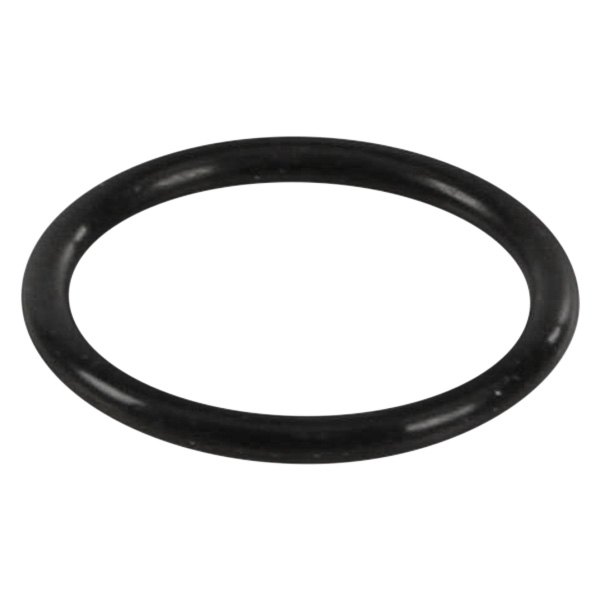 Genuine® 91319-PAA-A01 - Variable Timing Solenoid Seal