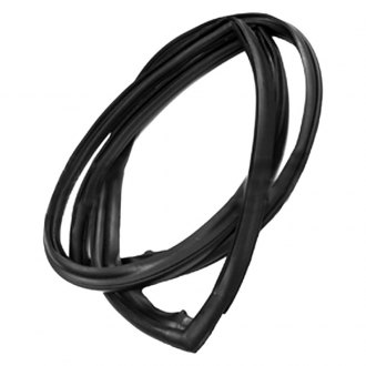 Dodge Charger Replacement Window Seals | CARiD
