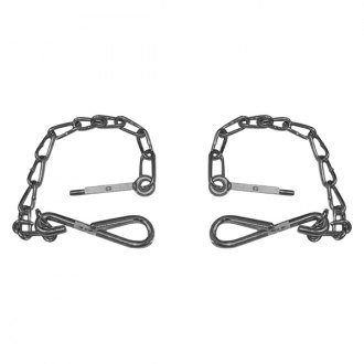Tailgate Chains | CARiD