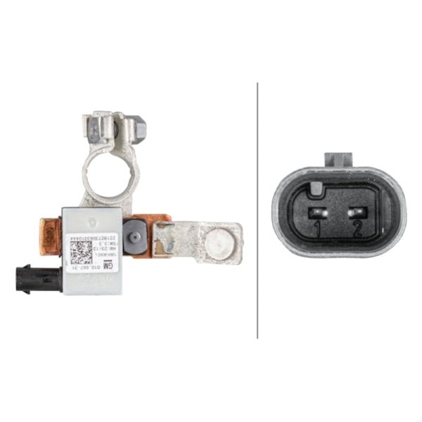 Hella® 010557471 - Intelligent Battery Sensor