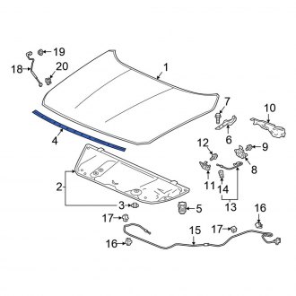 Hood Seals - Replacement Weather Stripping | CARiD
