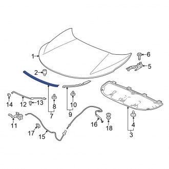 Hood Seals - Replacement Weather Stripping | CARiD