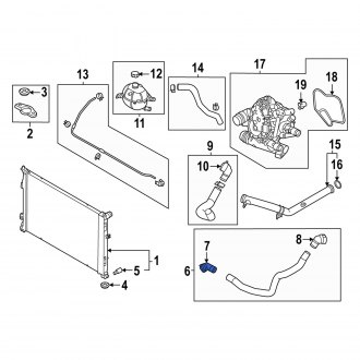 Hyundai Santa Cruz Radiator Hoses & Clamps — CARiD.com