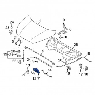 Hyundai Tucson Hood Locks & Hood Latches — CARiD.com