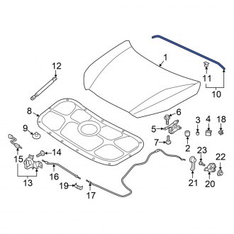 Hyundai Palisade Hood Weatherstripping Seals | CARiD