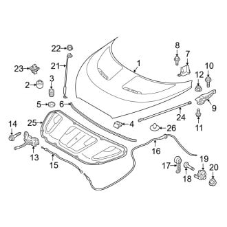 2016 Hyundai Veloster Custom Hoods - Carbon Fiber, Fiberglass | CARiD