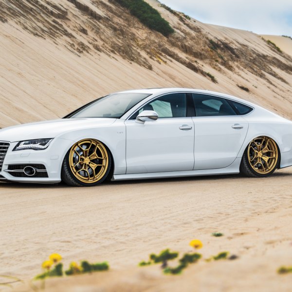 Custom Audi S7 - Images, Mods, Photos, Upgrades | CARiD.com Gallery