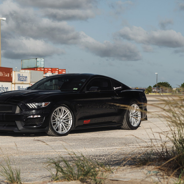 Custom Ford Mustang - Images, Mods, Photos, Upgrades | CARiD.com Gallery