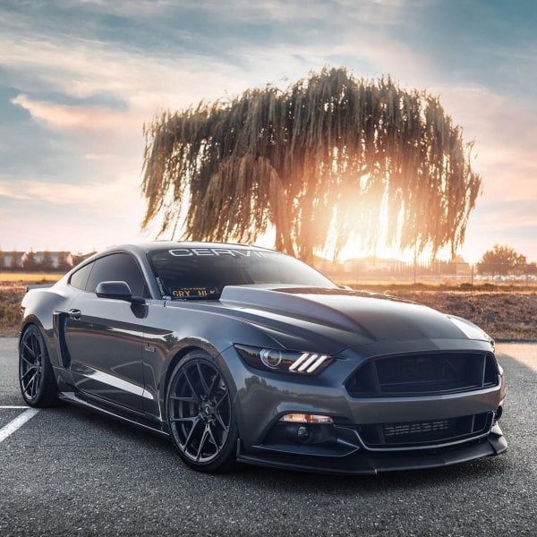 Custom Ford Mustang - Images, Mods, Photos, Upgrades | CARiD.com Gallery