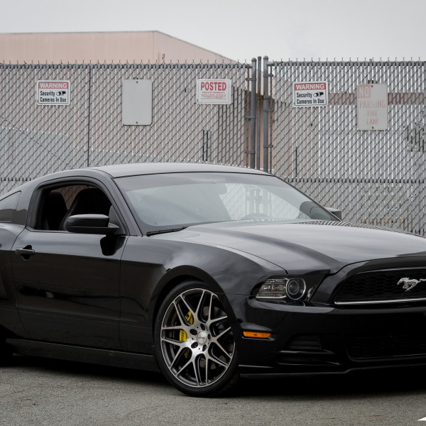 Custom 2014 Ford Mustang - Images, Mods, Photos, Upgrades | CARiD.com ...