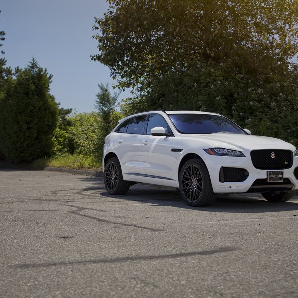 Custom Jaguar - Images, Mods, Photos, Upgrades | CARiD.com Gallery