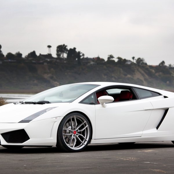 Custom Lamborghini Gallardo - Images, Mods, Photos, Upgrades | CARiD ...