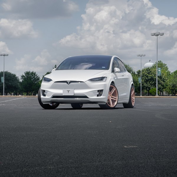 Custom Tesla - Images, Mods, Photos, Upgrades | CARiD.com Gallery