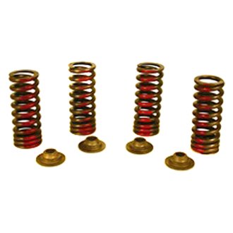 Isky Racing Cams™ | Roller Lifters, Camshafts, Valve Springs — CARiD.com