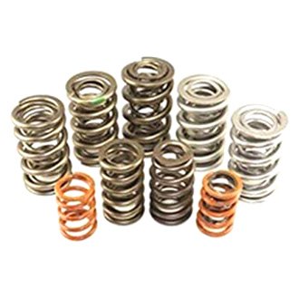 Isky Racing Cams™ | Roller Lifters, Camshafts, Valve Springs — CARiD.com