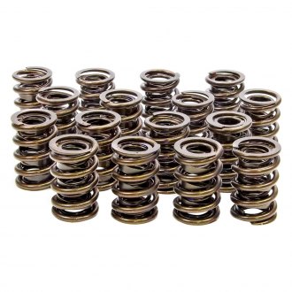 Isky Racing Cams™ | Roller Lifters, Camshafts, Valve Springs — CARiD.com