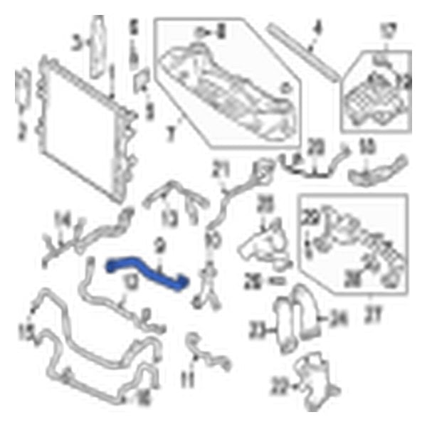 Jaguar OE C2D6004 - Upper Radiator Coolant Hose