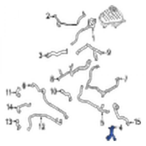 Jaguar OE C2D23172 - Lower Radiator Coolant Hose