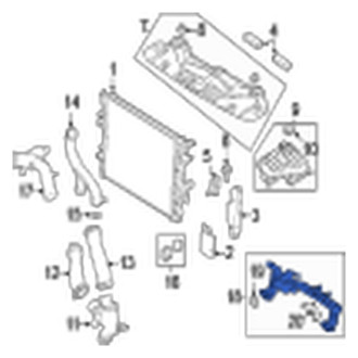Jaguar F-Type Radiator Hoses & Clamps - Lower, Upper | CARiD