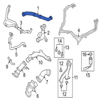 Jaguar F-Type Radiator Hoses & Clamps — CARiD.com