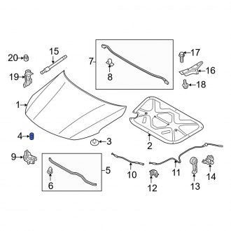 Kia Sportage Replacement Hood Hardware — CARiD.com