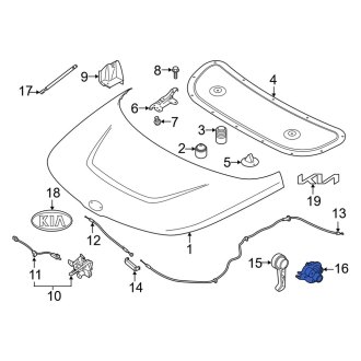 Kia Sportage Replacement Hood Hardware — CARiD.com