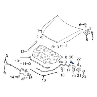 Kia Seltos Replacement Hood Hardware — CARiD.com