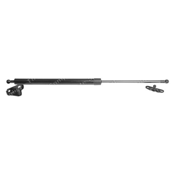 Lesjofors® - Lexus RX350 2007 Liftgate Lift Support