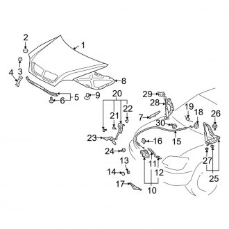 2008 Lexus RX350 OEM Body Hoods | CARiD