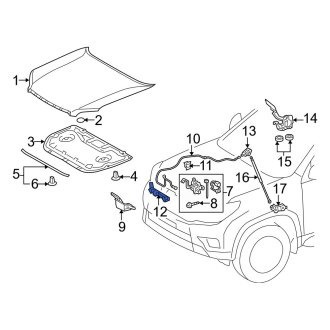 Lexus GX OEM Body Hoods - Carbon Fiber, Fiberglass | CARiD