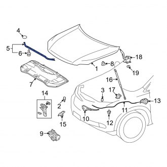 Lexus RX450h Hood Weatherstripping Seals — CARiD.com