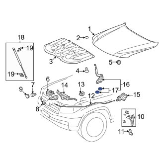 Lexus IS500 OEM Body Hoods | Carbon Fiber, Fiberglass — CARiD.com
