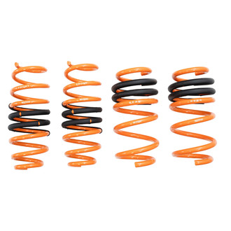 Tesla Model Y Suspension Lowering Kits - Springs, Struts | CARiD