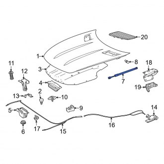 Mercedes AMG GT Hood Shocks & Struts | Hood Lift Support — CARiD.com