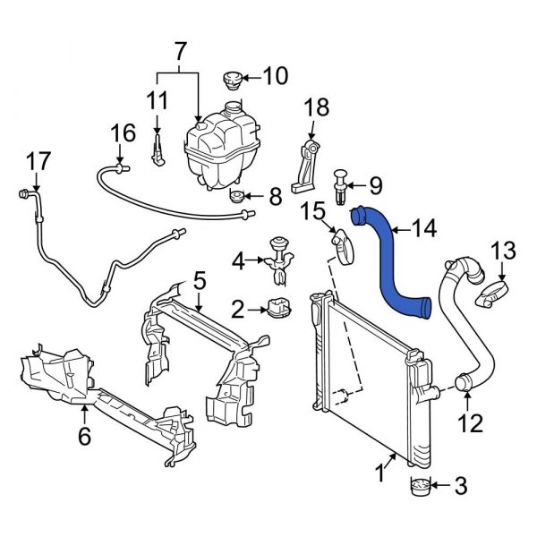 Mercedes-Benz OE 2115015182 - Lower Radiator Coolant Hose