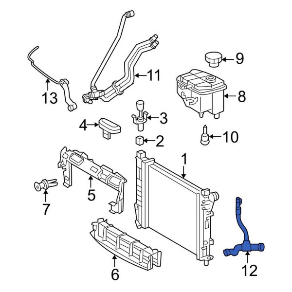 Mercedes-Benz OE 1170780581 - Lower Radiator Coolant Hose