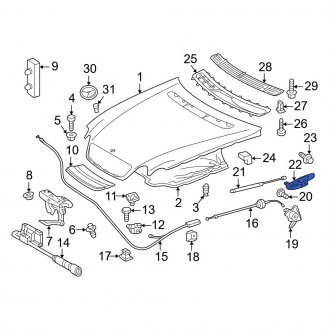 Mercedes Hood Hinges & Springs — CARiD.com