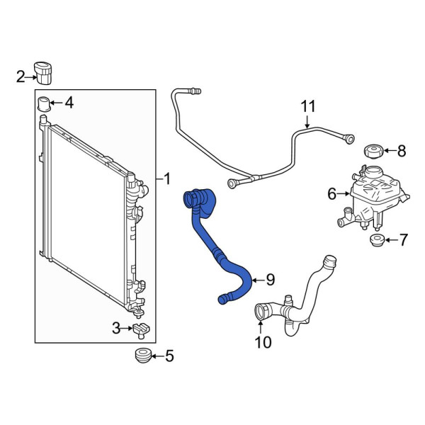 Mercedes-Benz OE 1665005675 - Upper Radiator Coolant Hose