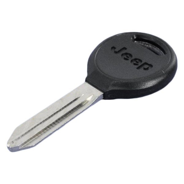 Mopar® 05013809AA - Master Key