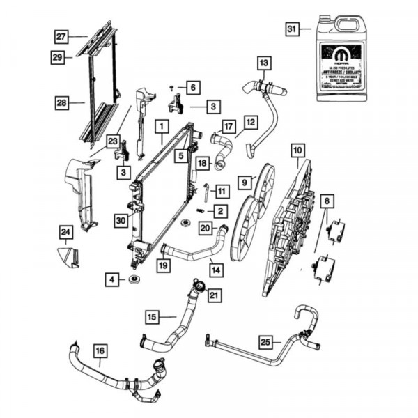 Mopar® 55038116AA - Engine Coolant Radiator Hose