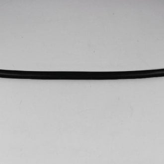 Dodge Ram Door Seals & Weatherstripping | CARiD