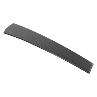 Dodge Charger Door Moldings - Side, Edge, Belt | CARiD